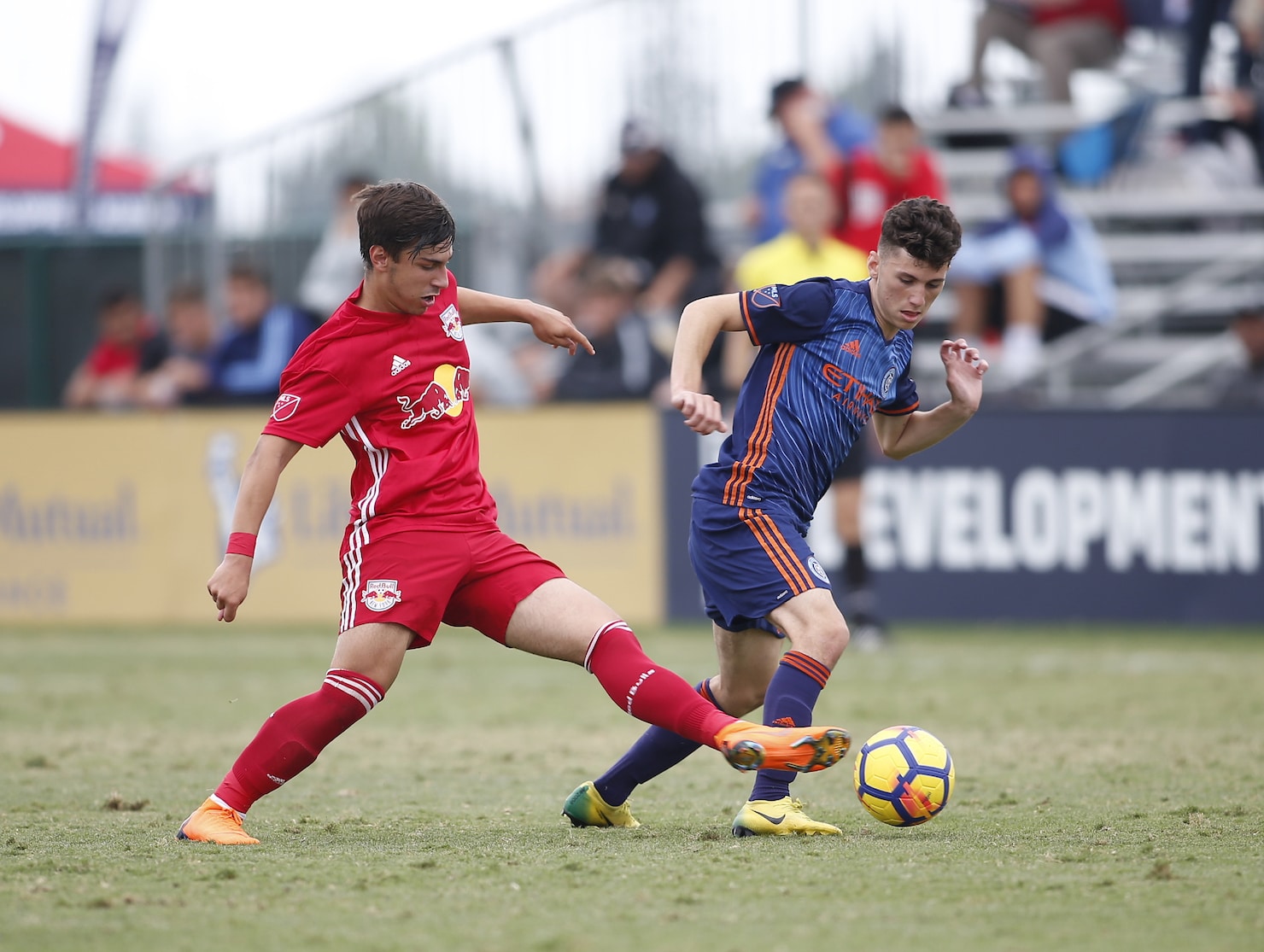 New York Red Bulls Tryouts & Club Guide: History, Stadium, Players, and ...