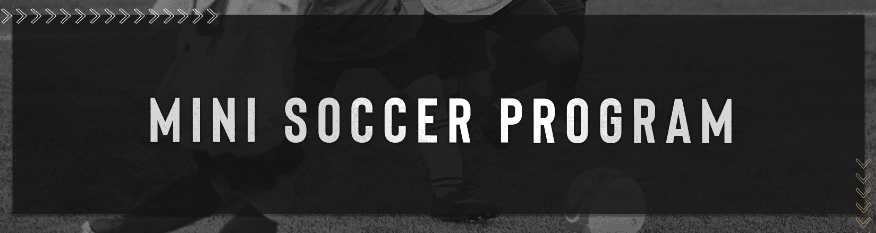 Valour FC Tryouts & Club Guide: History, Stadium, Players, and More!